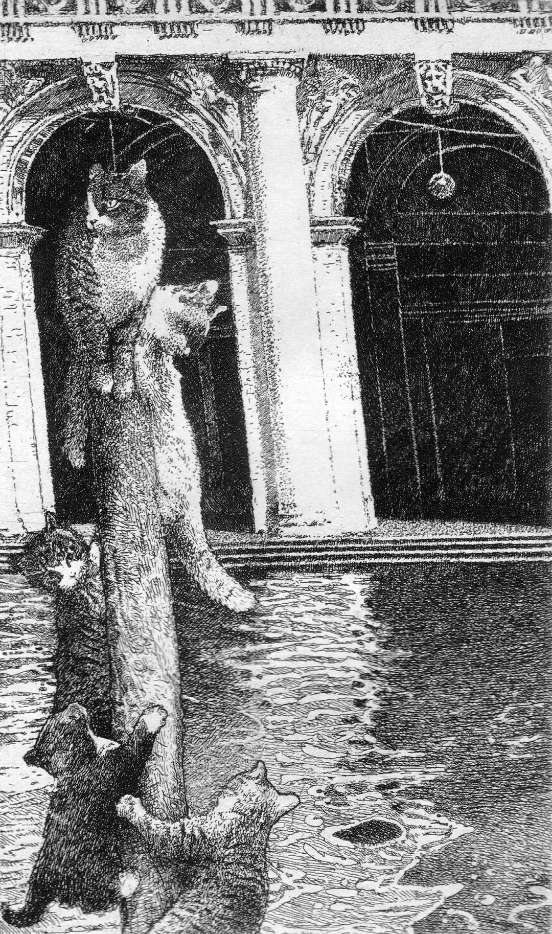 The Five of Cats - Original Limited Edition Etching by Alan Larkin ...