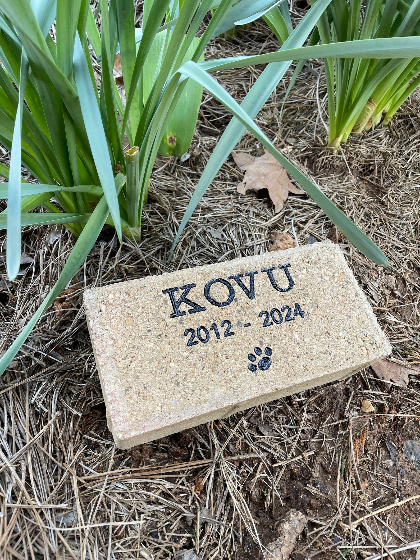 Pet Remembrance Gift Custom Pet Loss Gift Pet Headstone Engraved Garden ...