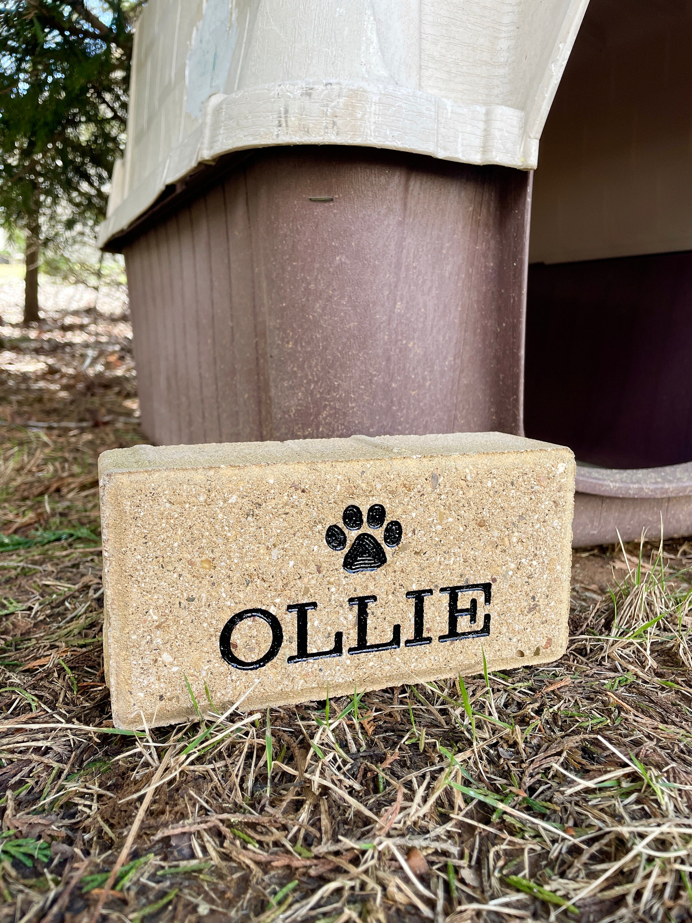 Doghouse Sign Custom Pet Decor Pet Gift for Cat Mom Gift for Pet Lover ...