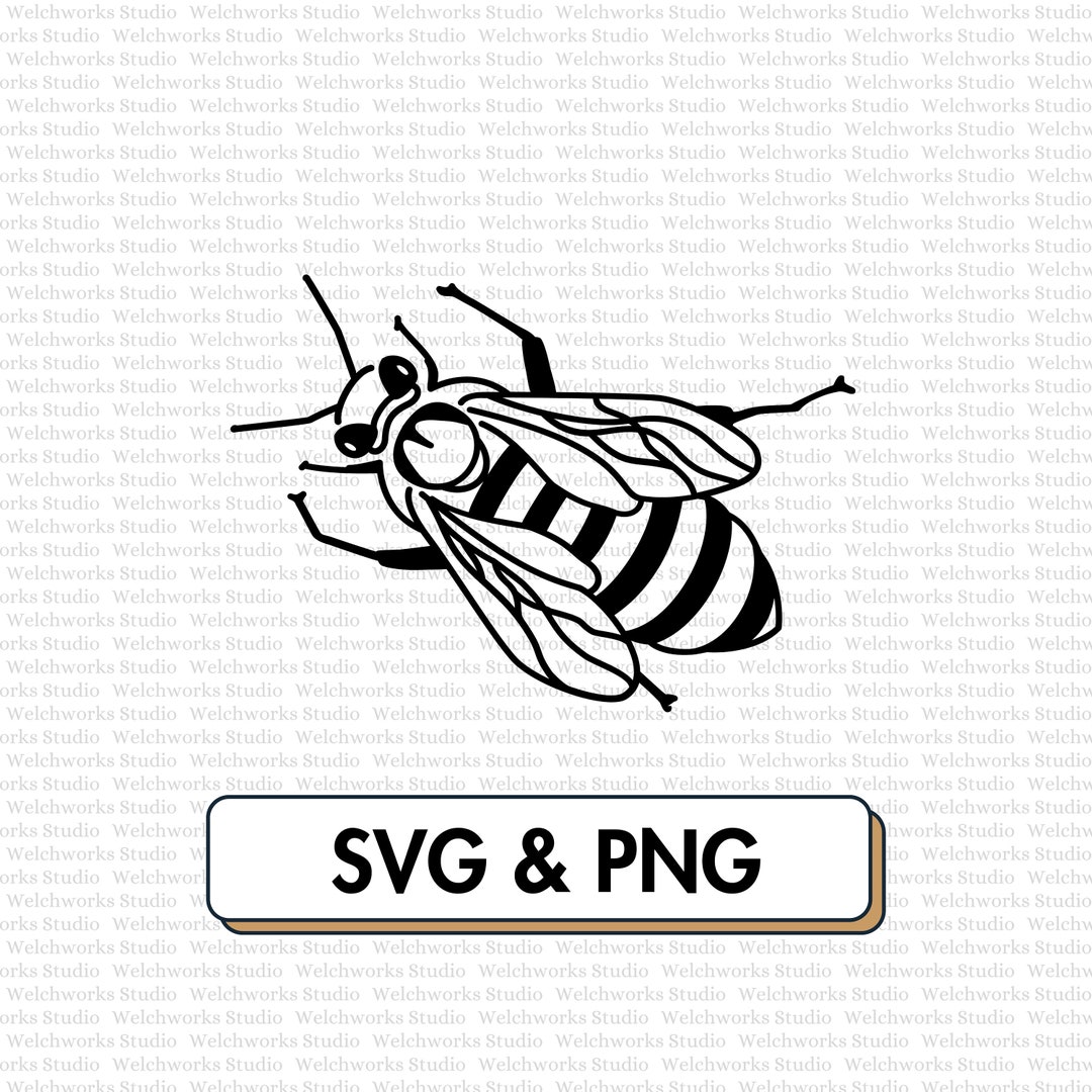 Honeybee SVG Clipart Bee Cut File for Sunroom Wall Art (digital ...