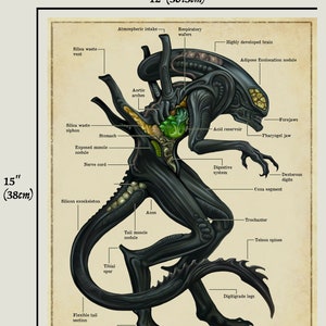 Xenomorph Anatomy Poster Alien Inspired Scientific Wall Art | Etsy
