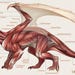 Dragonatomy: an Illustrated Dragon Biology Art-book - Etsy