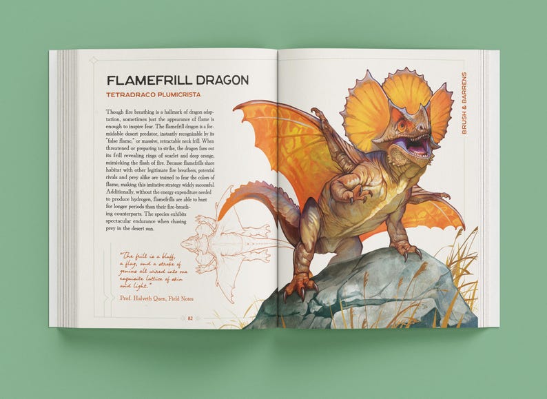 Dragonatomy: an Illustrated Dragon Biology Art-book - Etsy
