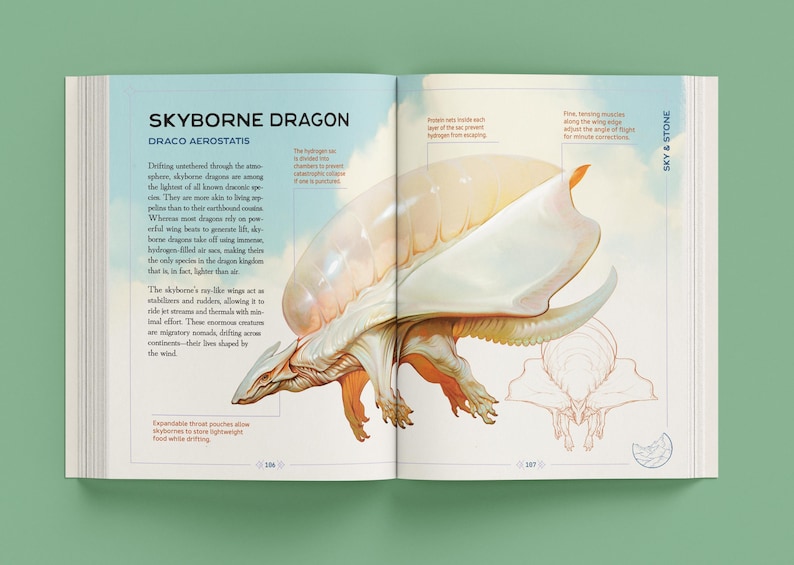 Dragonatomy: an Illustrated Dragon Biology Art-book - Etsy