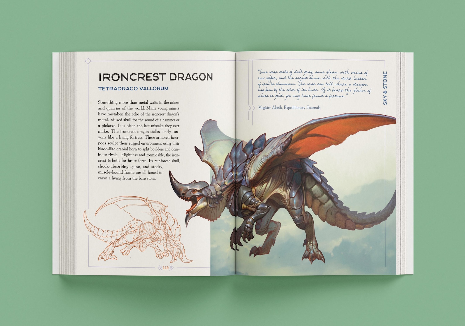 Dragonatomy: an Illustrated Dragon Biology Art-book - Etsy