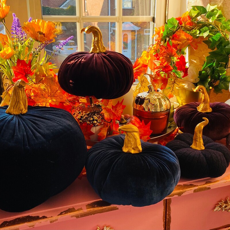 Velvet Pumpkin - Etsy