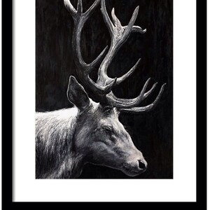 White Stag Limited Edition Giclee Print Signed Original Art | Etsy