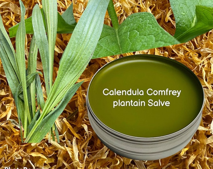 Comfrey Calendula Plantain Herbal Salve - No Essential Oil PET Friendly ...