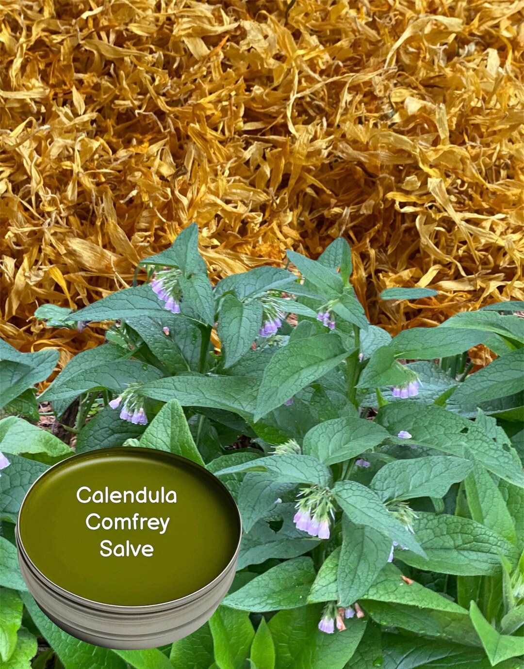 Calendula Comfrey Salve - No EO PET Friendly Option Available - Etsy