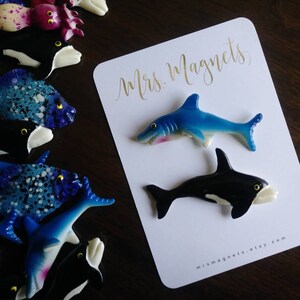 Shark/orca Magnets Set of 2 Fridge Magnets Decorative - Etsy