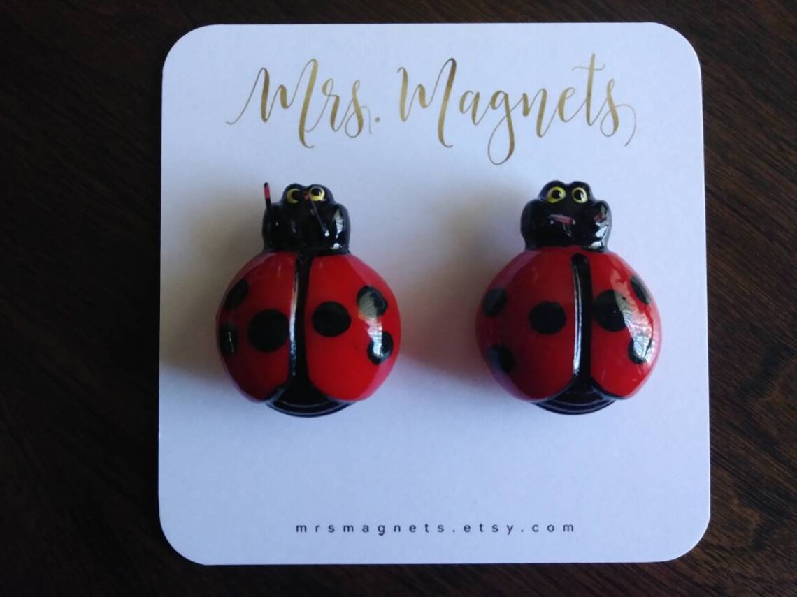 Ladybug Magnets Set of 2 Fridge Magnets Decorative | Etsy
