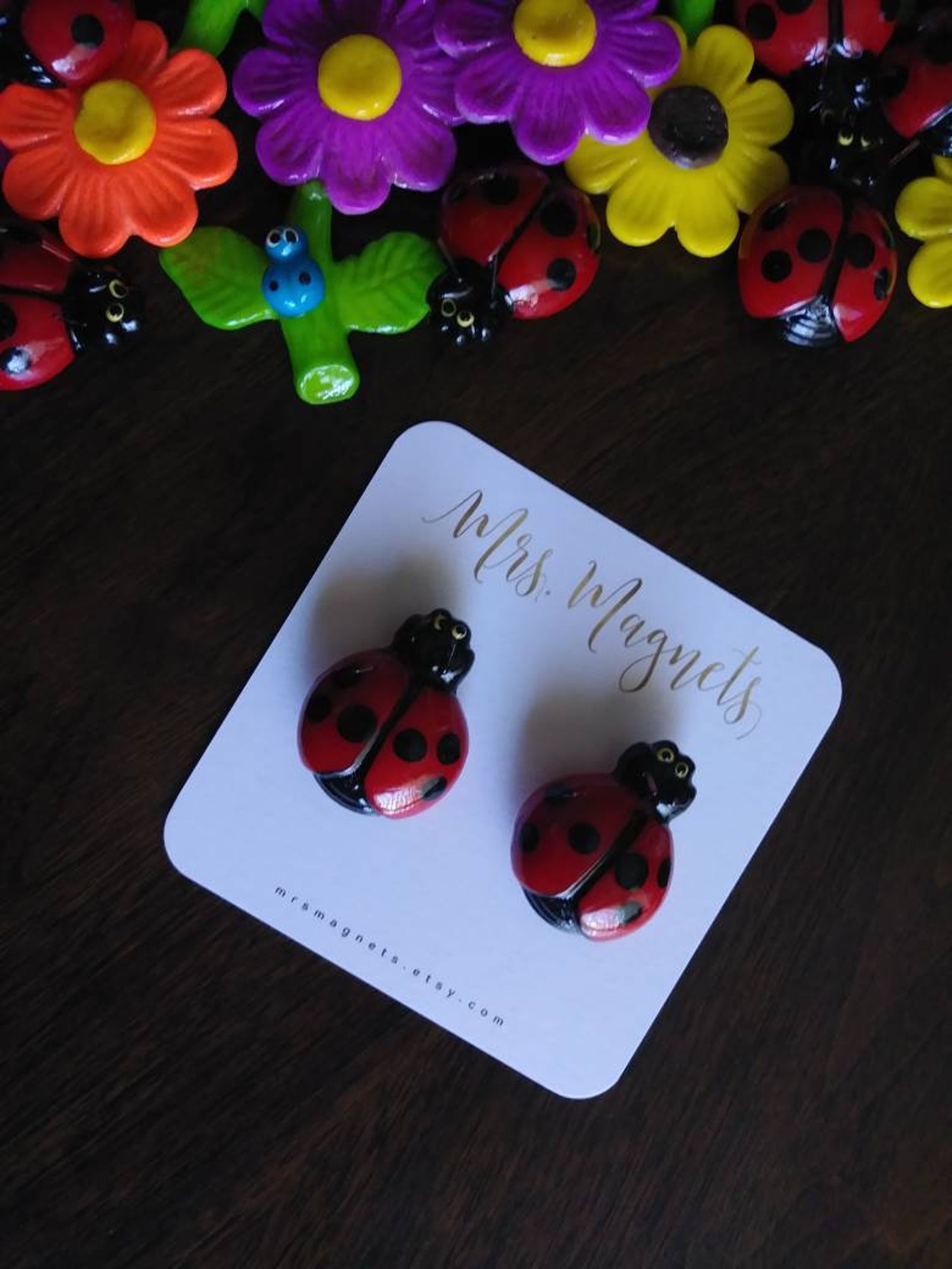 Ladybug Magnets Set of 2 Fridge Magnets Decorative | Etsy