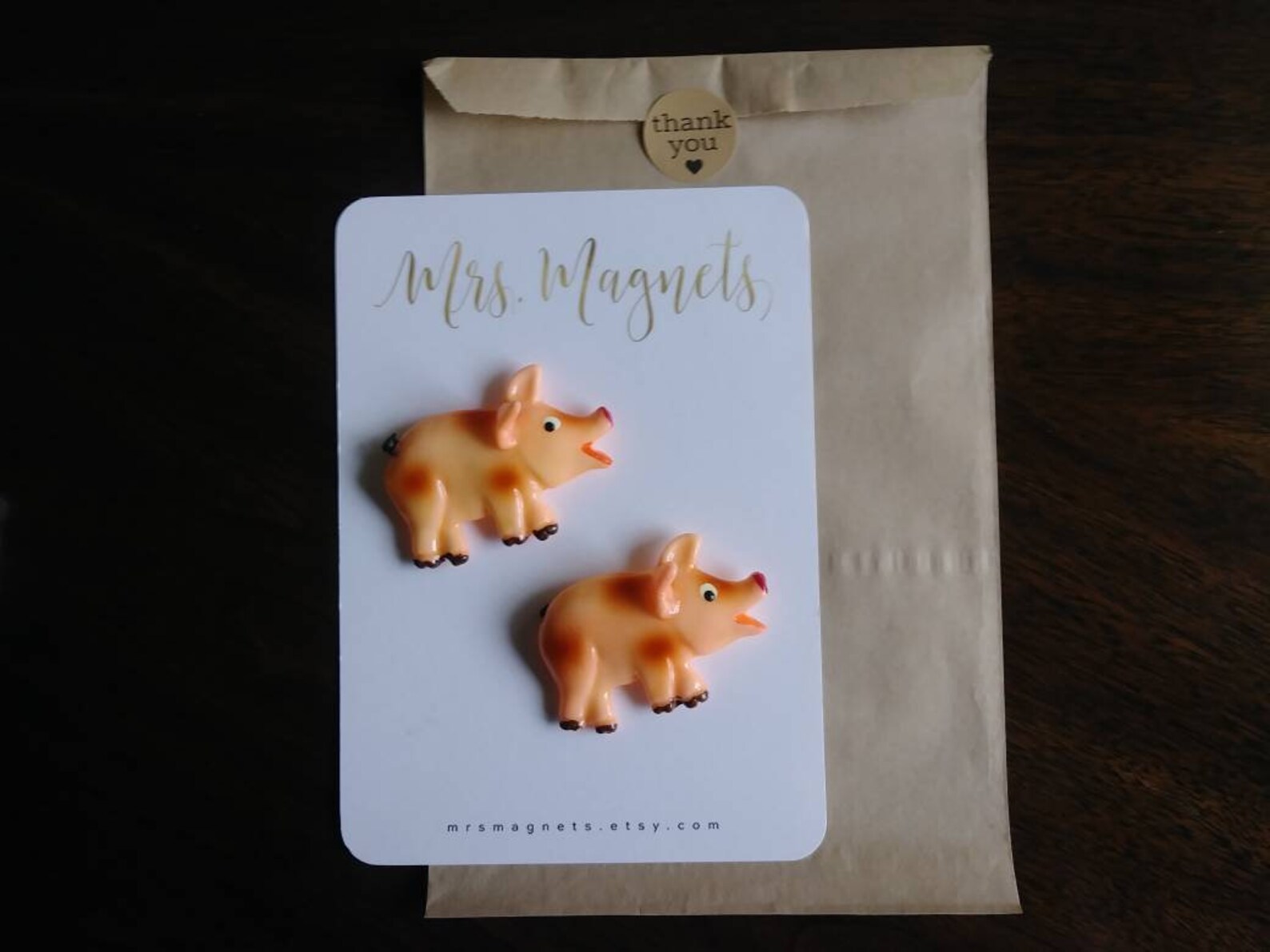 Pig Magnets Set of 2 Fridge Magnets Decorative Magnets | Etsy