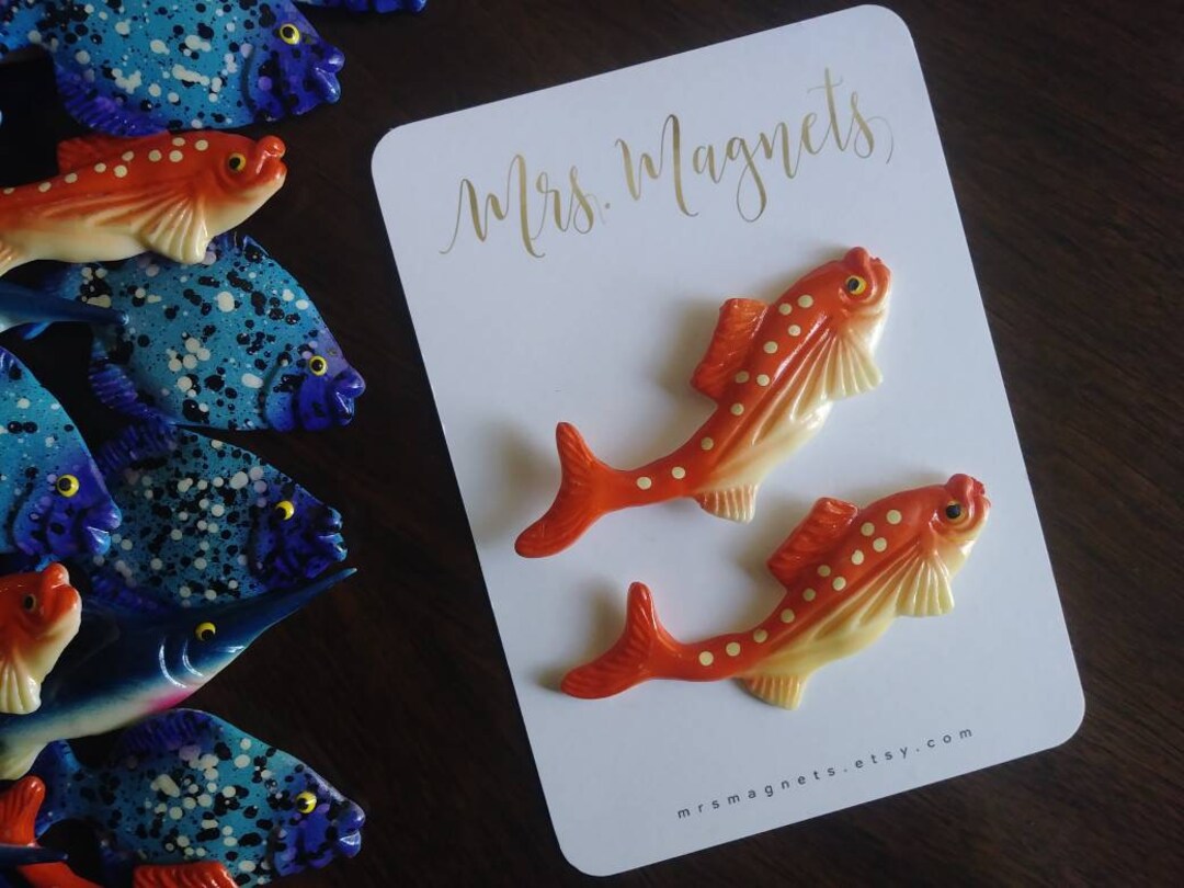 Trout Magnets Set of 2 Fridge Magnets Decorative Magnets - Etsy