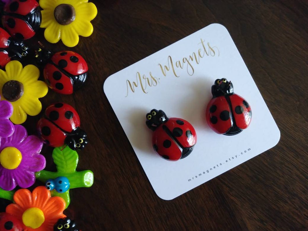 Ladybug Magnets Set of 2 Fridge Magnets Decorative - Etsy