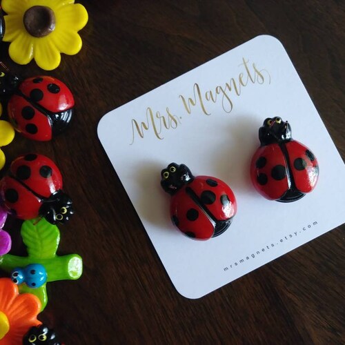 Ladybug Magnets Set of 2 Fridge Magnets Decorative - Etsy
