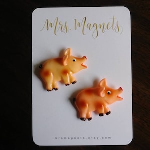 Pig Magnets Set of 2 Fridge Magnets Decorative Magnets - Etsy