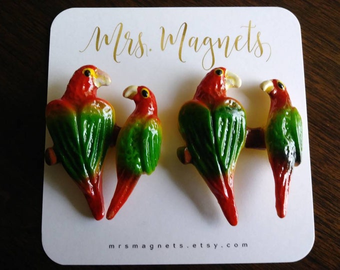 Bird Magnets Set of 2 Fridge Magnets Decorative Magnets Cute Magnets ...