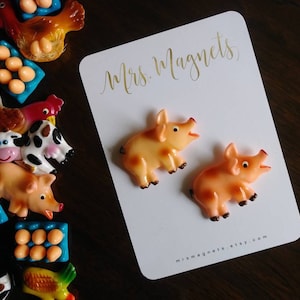 Pig Magnets Set of 2 Fridge Magnets Decorative Magnets - Etsy
