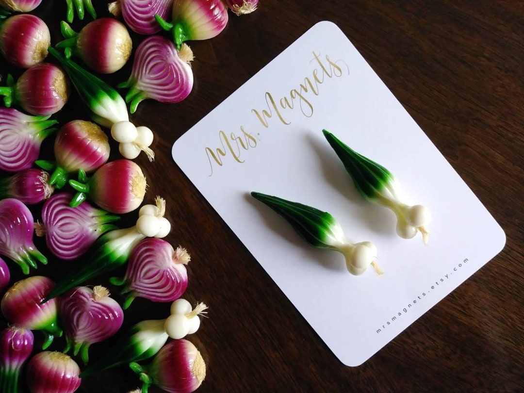 Spring Onion Magnets Set of 2 Fridge Magnets Decorative - Etsy