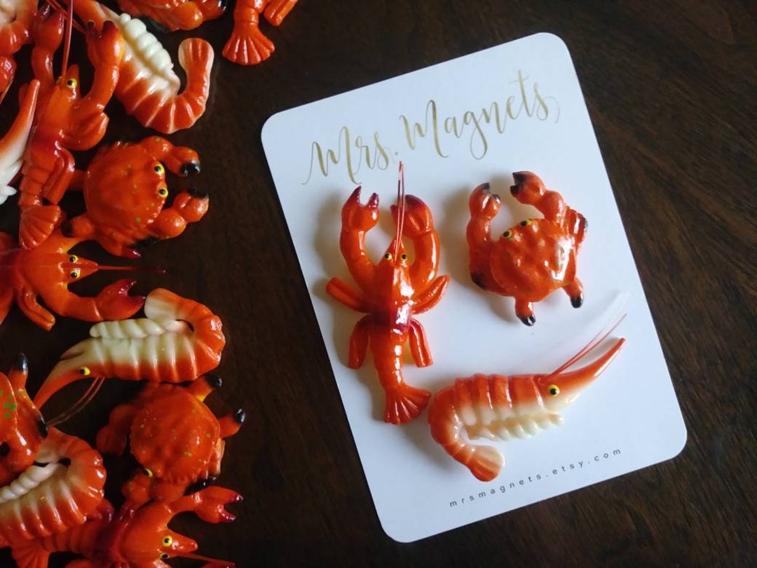 Seafood Magnets Set of 3 Fridge Magnets Decorative Magnets Cute Magnets ...