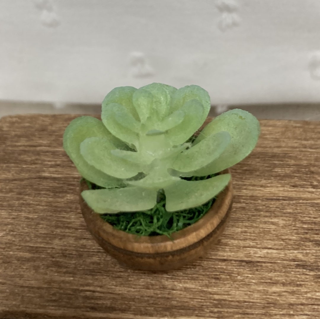 1:12 Scale Dollhouse Plant, Miniature Plant, Miniature Succulent ...