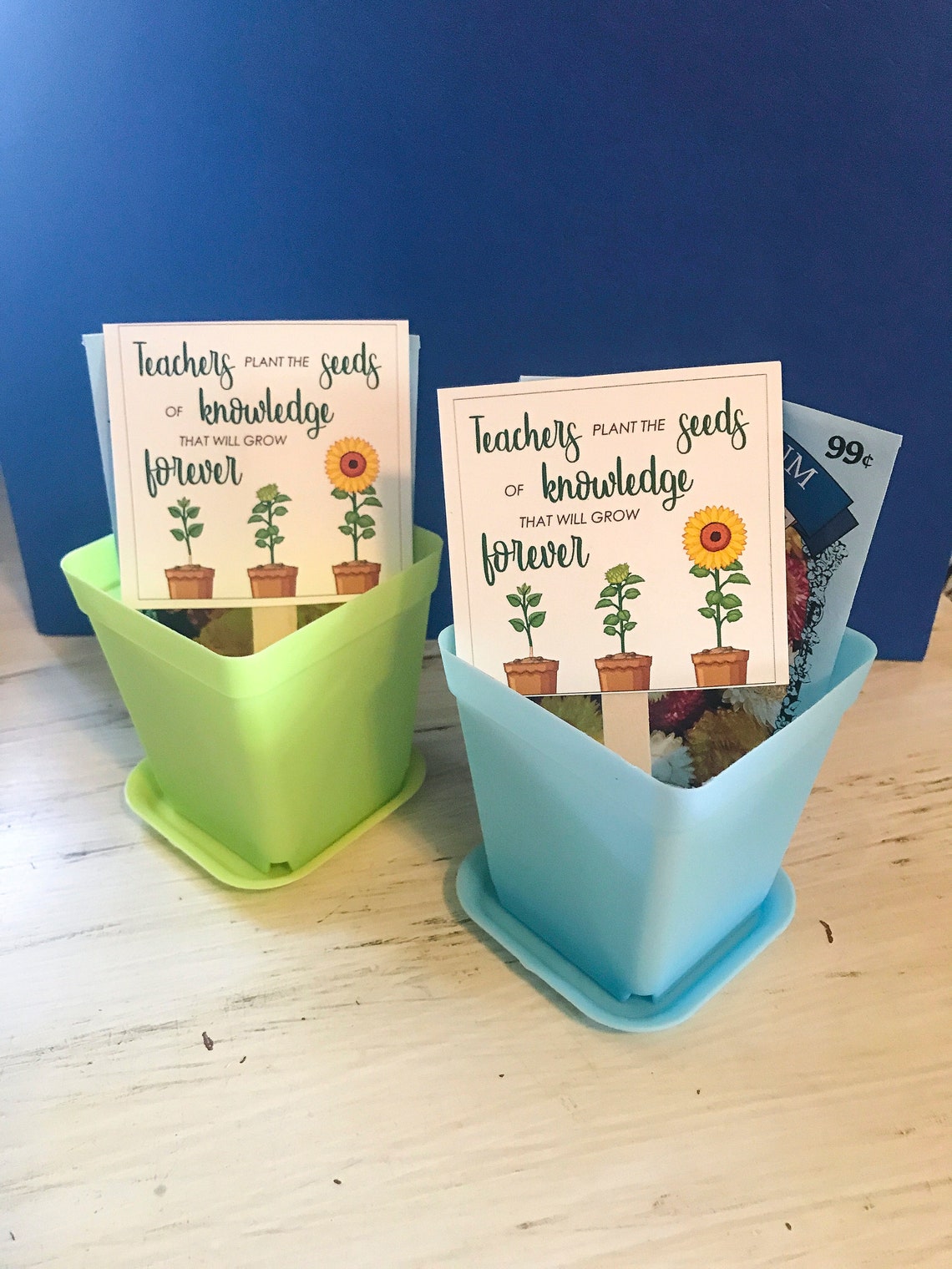 Teacher Appreciation Tags - Plant the Seeds of Knowledge Quote - Green ...