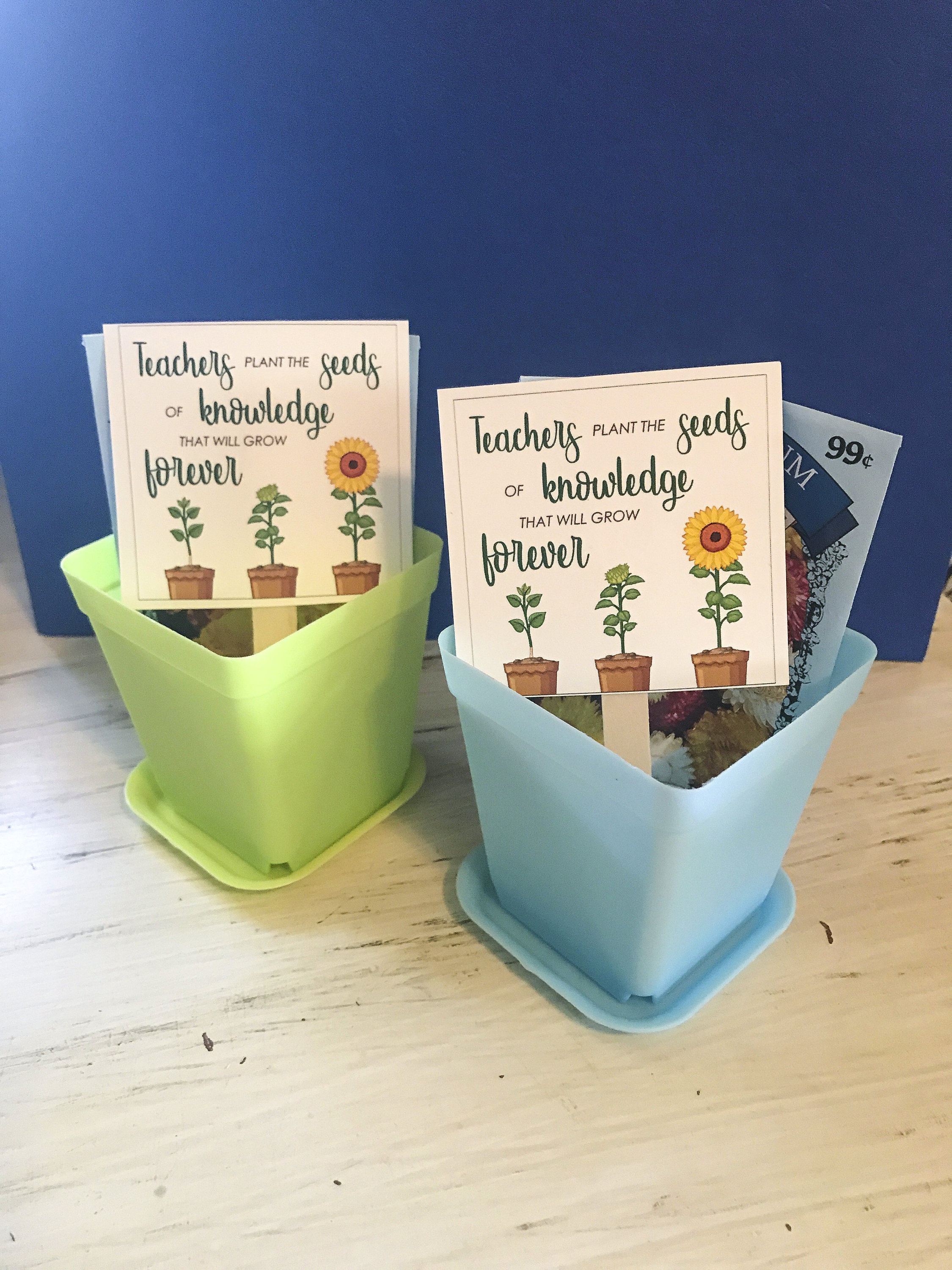 Teacher Appreciation Tags - Plant the Seeds of Knowledge Quote - Green ...