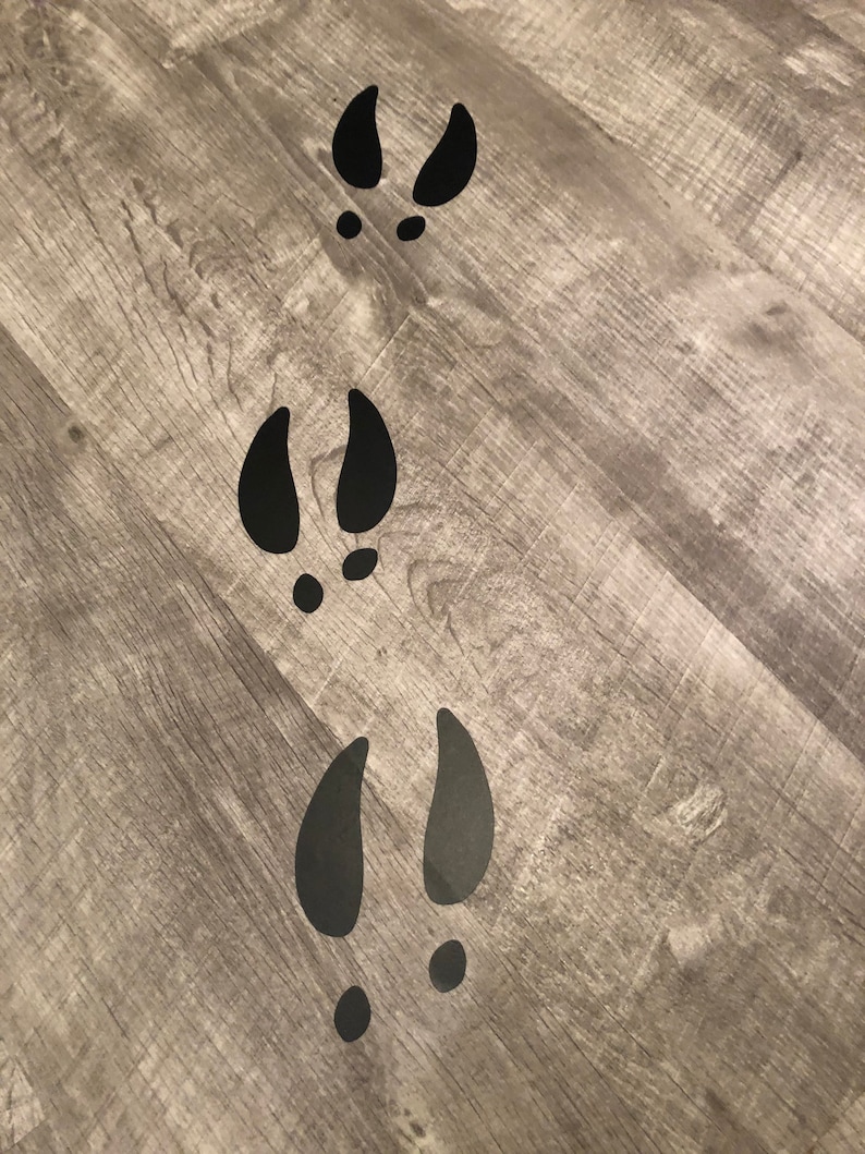 Moose Tracks, Removable Moose Feet, Animal Tracks, Moose Hunt, Moose ...