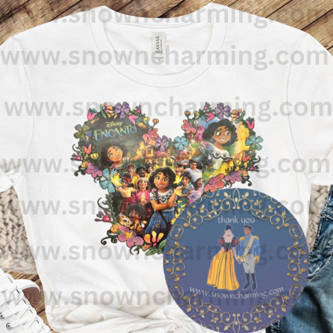 Character TRANSFER, Theme Park Transfers, Custom Transfer, Best Day ...