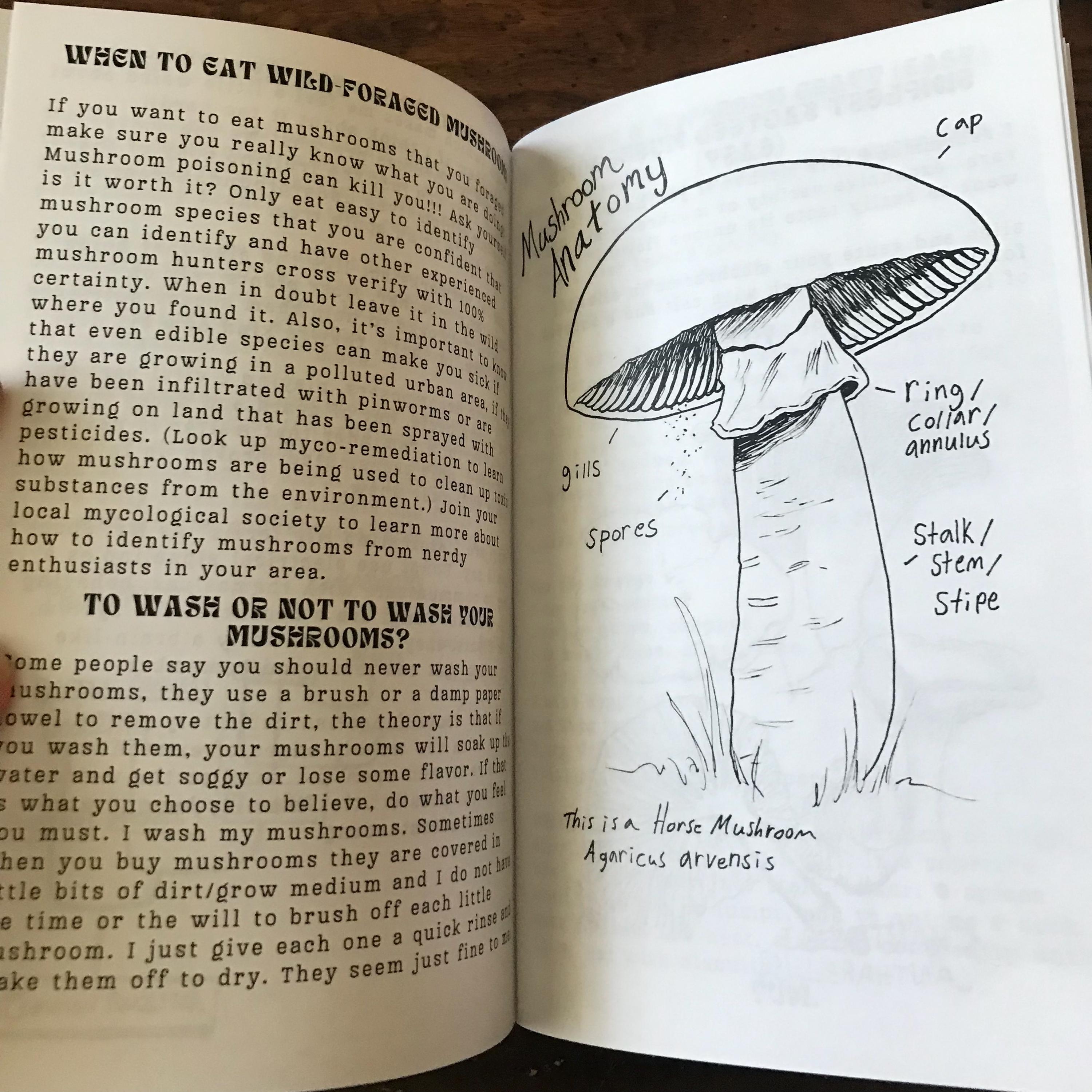 Fungivore Mushroom Cookbook - Etsy