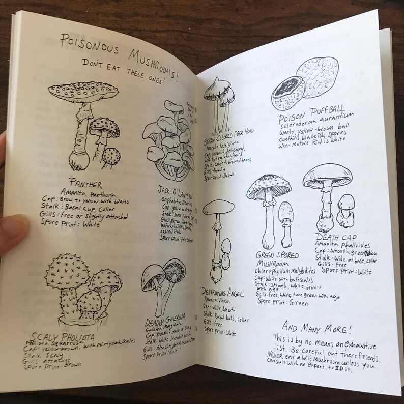 Fungivore Mushroom Cookbook - Etsy