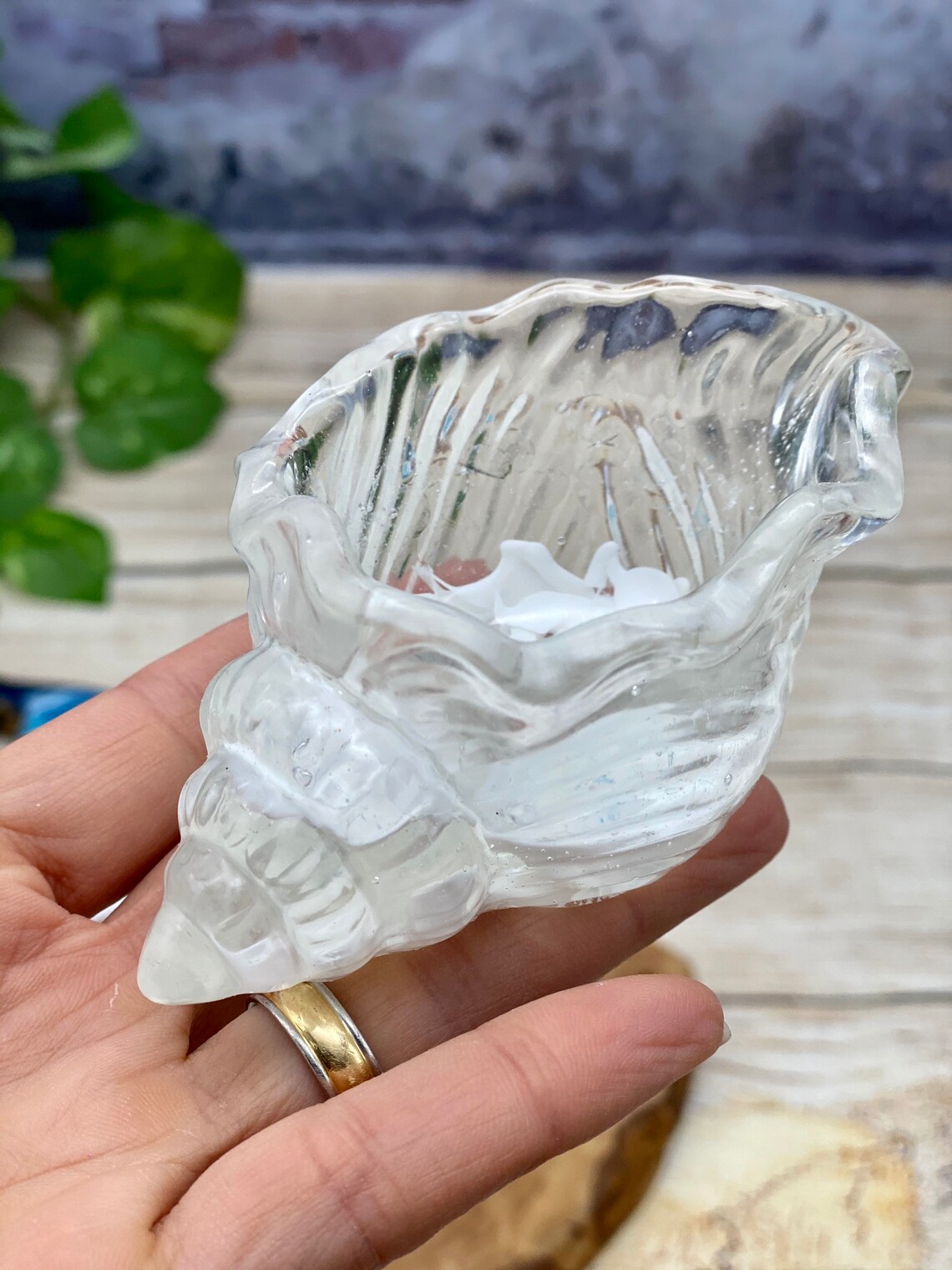 Handmade Resin Conch Shell Trinket Dish seashell dish resin | Etsy