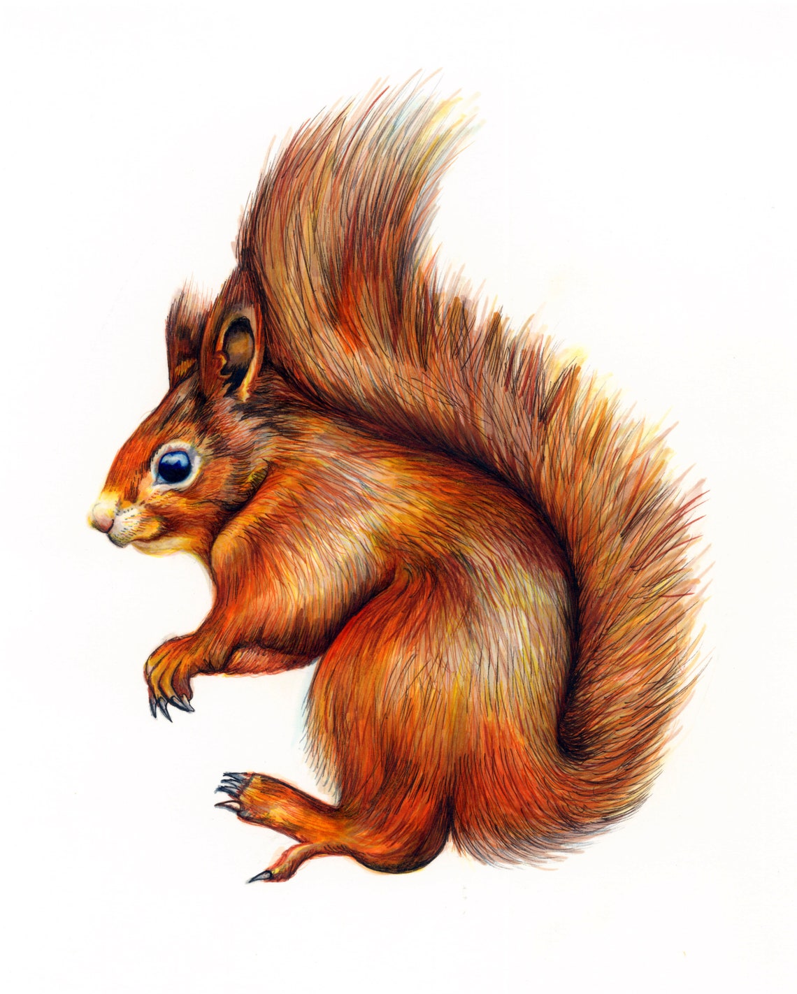 Squirrel Fabric Wall Sticker, Removable and Repositionable, Woodland ...