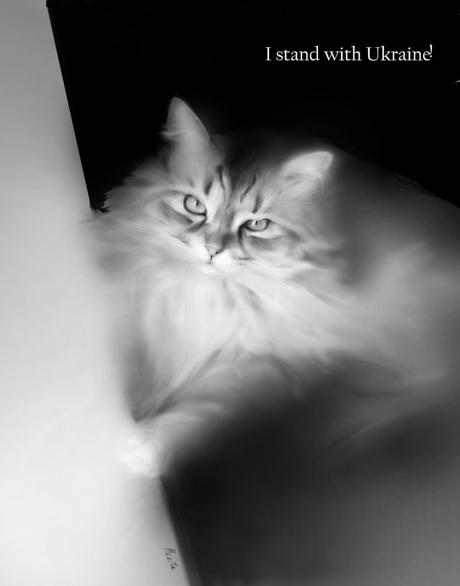 Ukraine Instant Downloadable Digital Cat Artwork Digital - Etsy