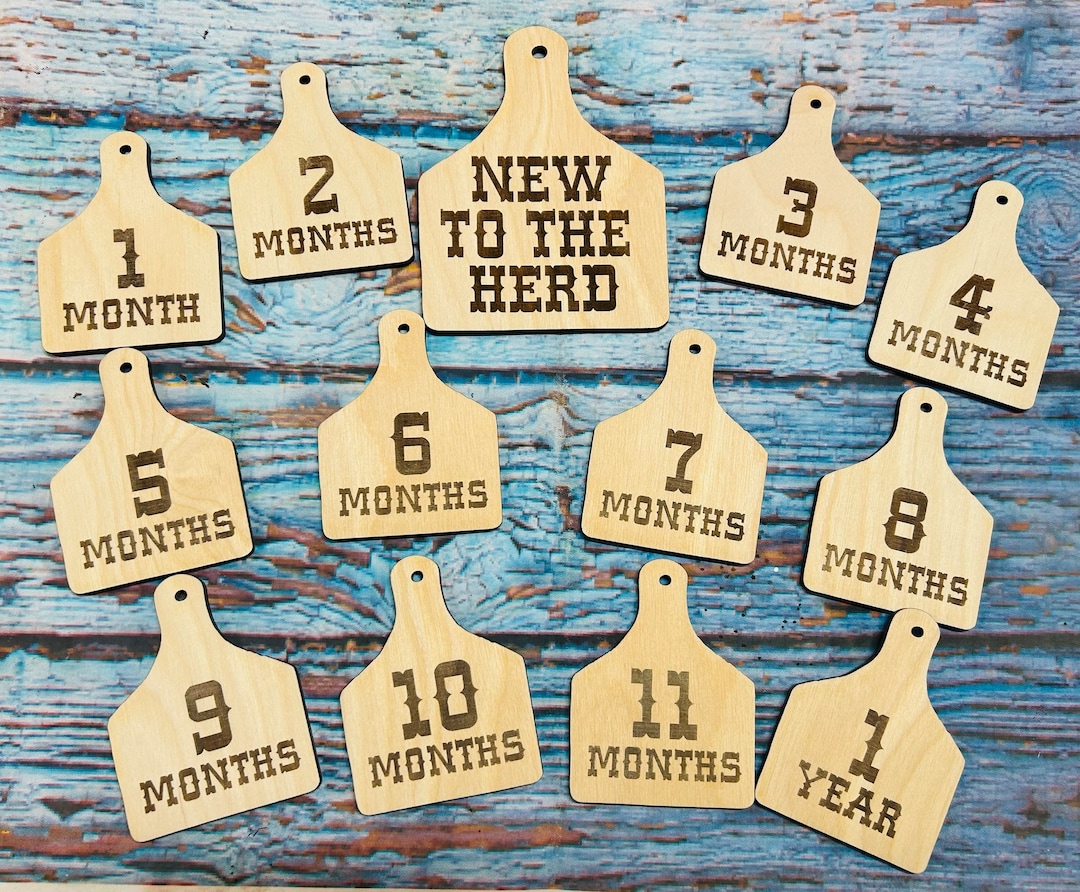 Cattle Tag Photo Prop Set / Western Cattle Tag Baby Milestone / Birth ...