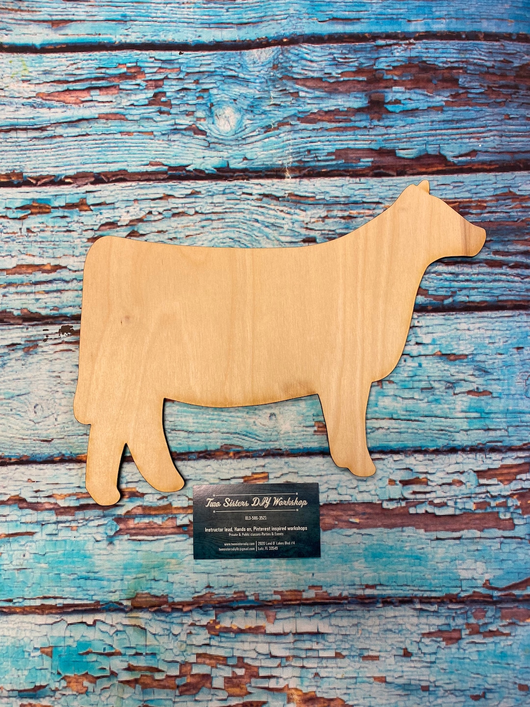 Show Heifer Cutout / Show Heifer Stall Sign / Show Heifer Paint Kit ...