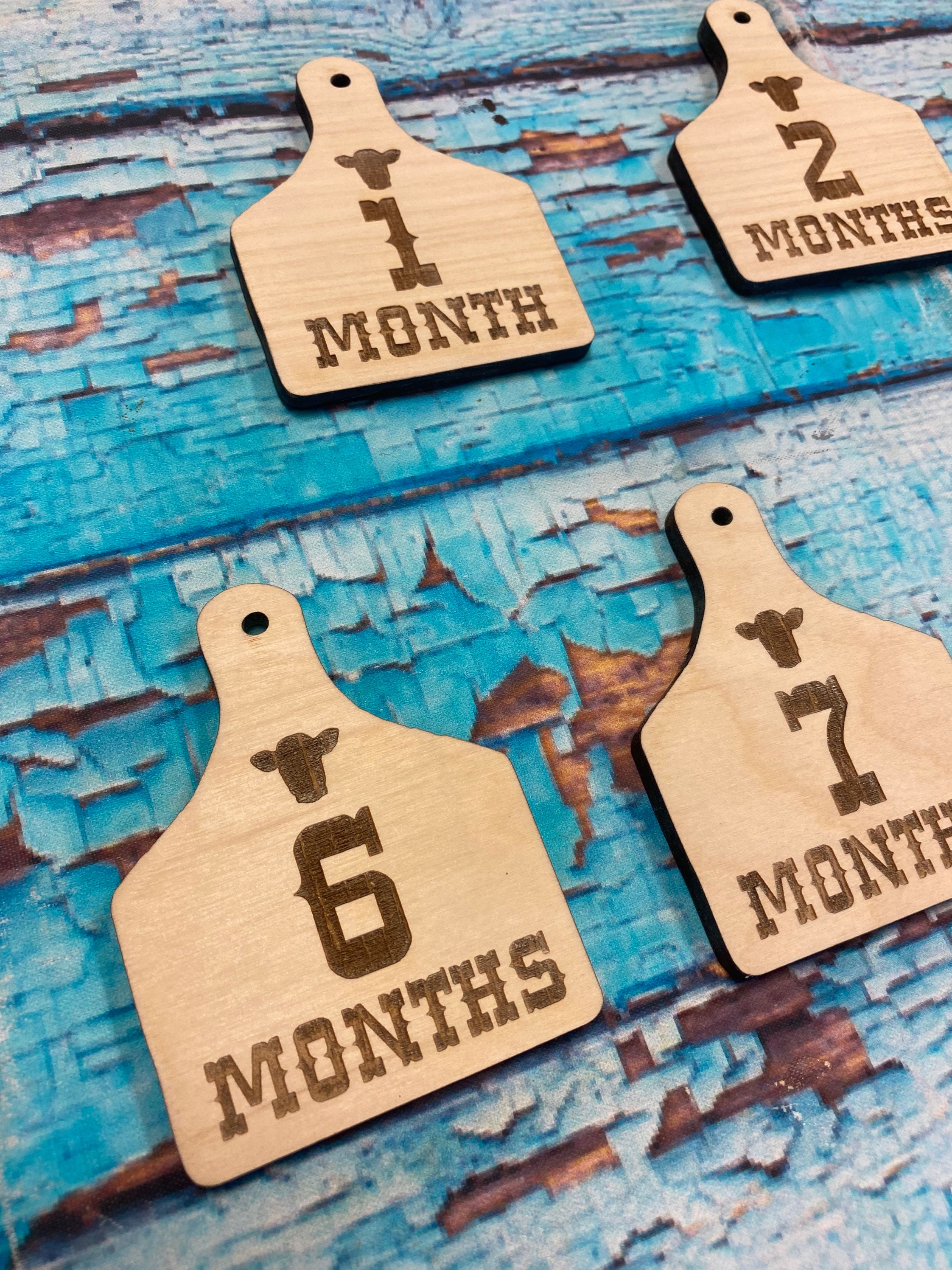 Western Cattle Tag Baby Milestone / Birth Announcement / Photo Prop - Etsy