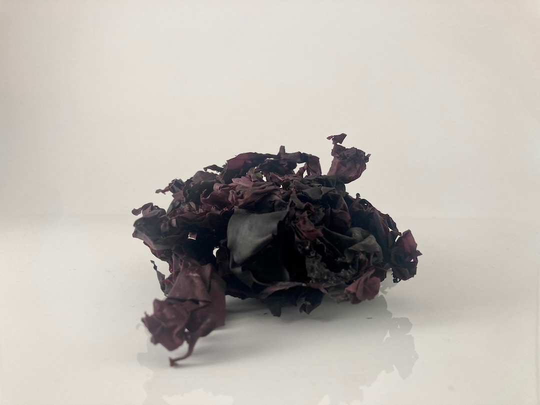 Atlantic Dulse | Wild Harvested | Sun-dried - Etsy