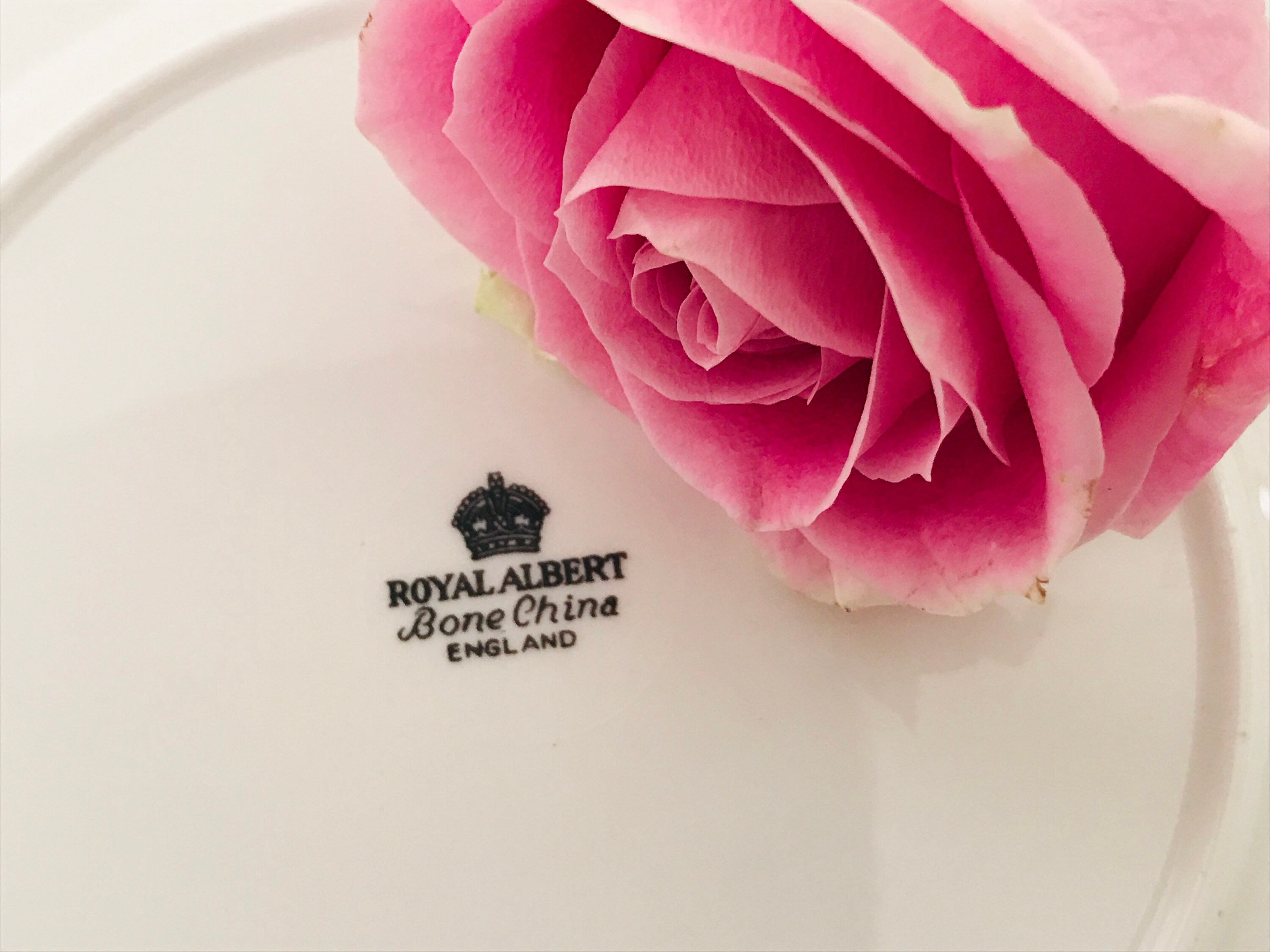 Royal Albert Pink Roses and Rose Buds Salad Plate England - Etsy