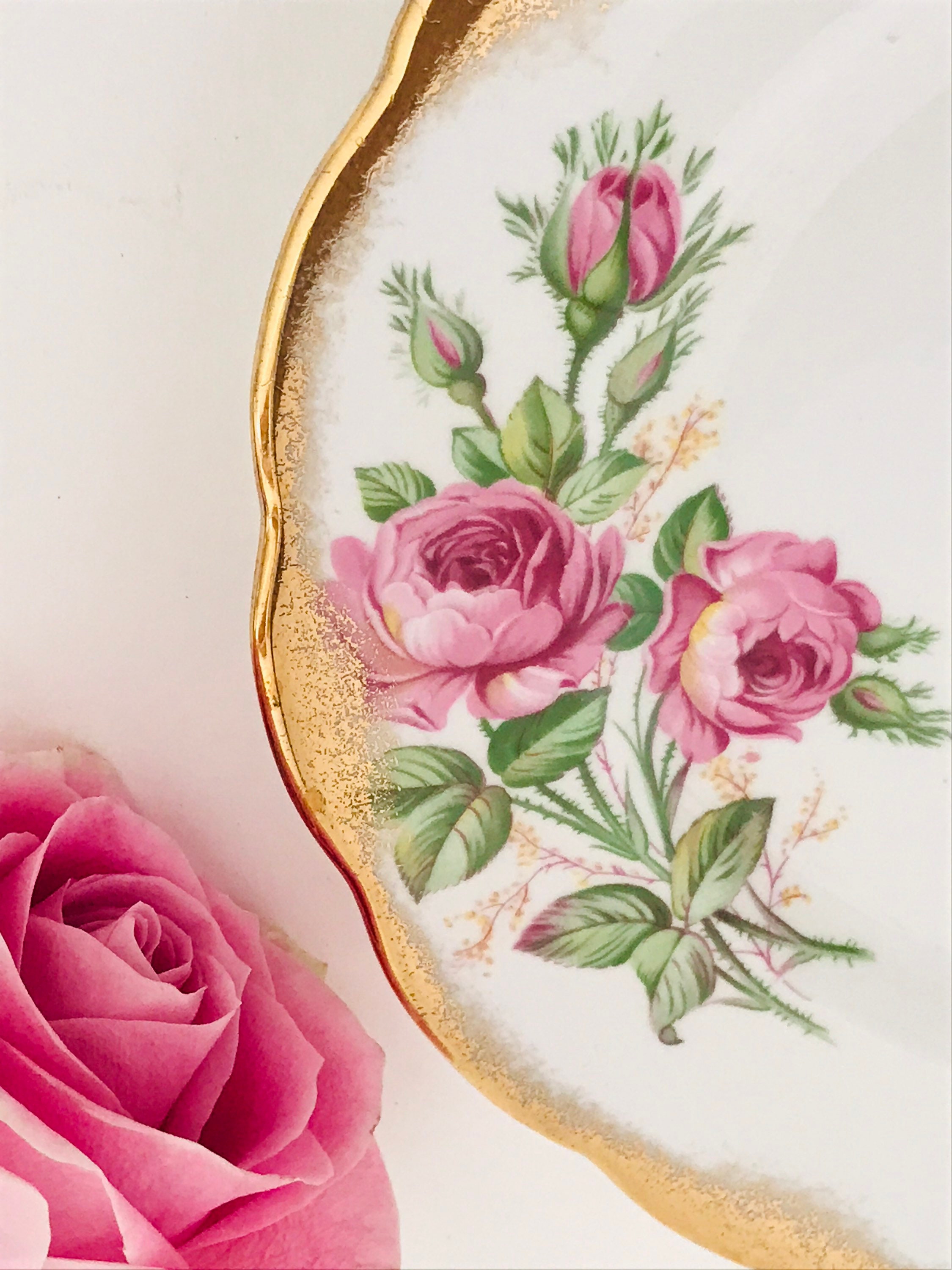 Royal Albert Pink Roses and Rose Buds Salad Plate England - Etsy