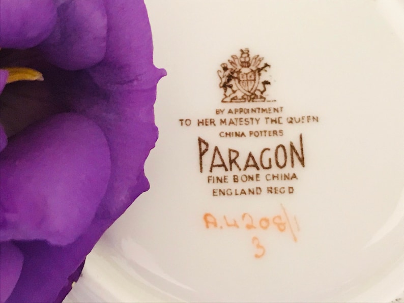 Rare Paragon Niagara Falls Tea Cup and Saucer, Paragon Blue Teacup ...