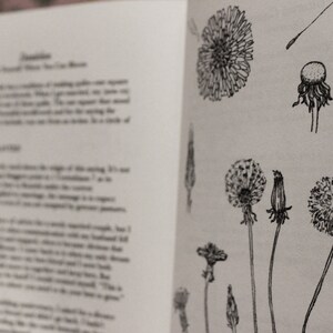 The Queer Language of Flowers - Etsy