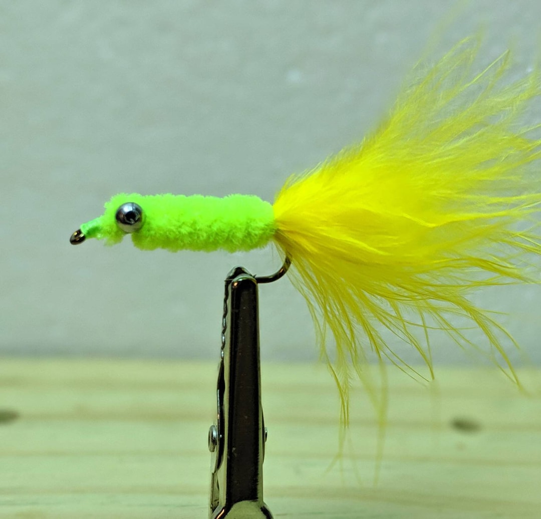 Bug Eyed Crappie Bug 6 Colors - Etsy