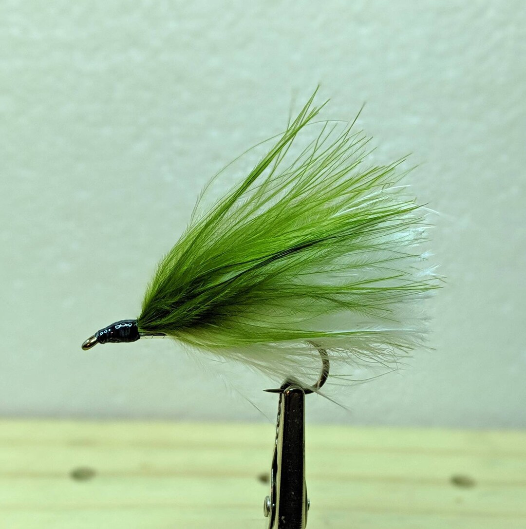 The Silver Shiner Fly - Etsy