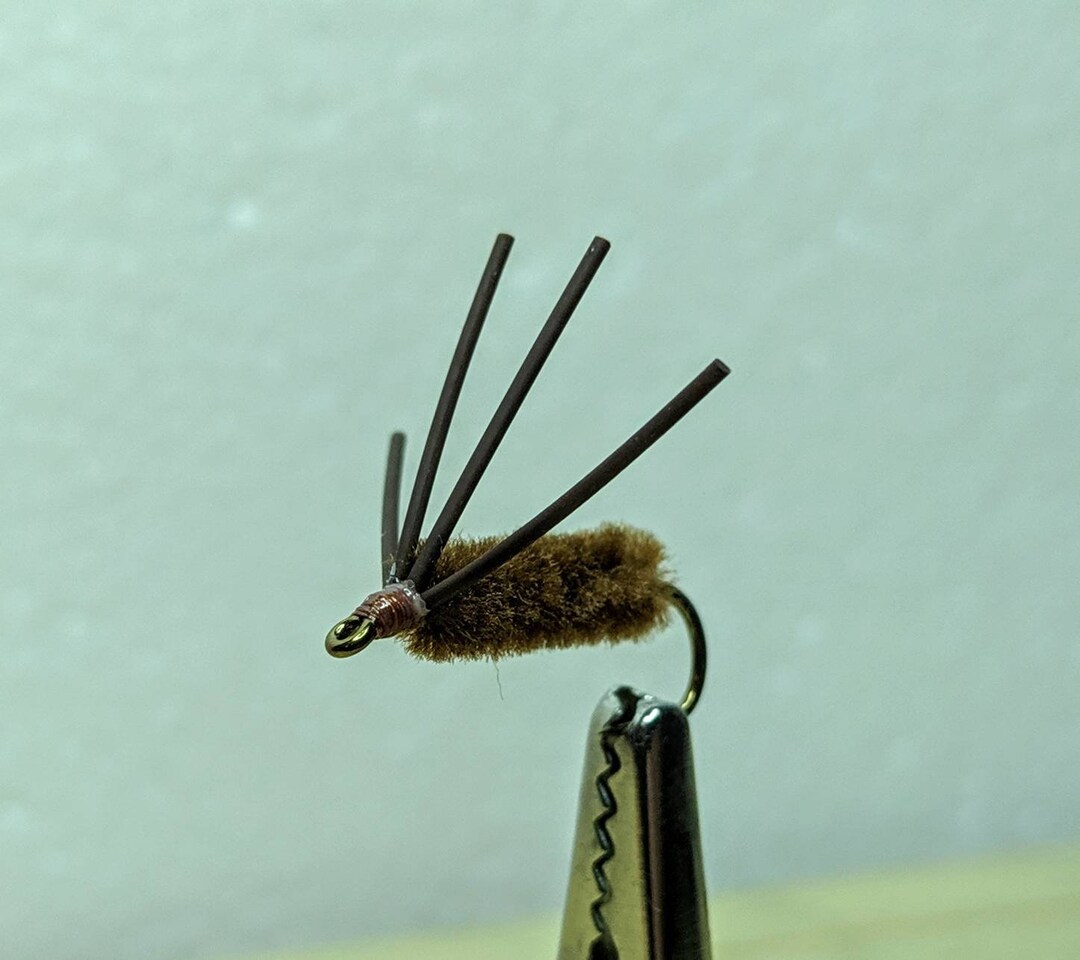 Bully Spider Fly Brown 5 Different Colors - Etsy