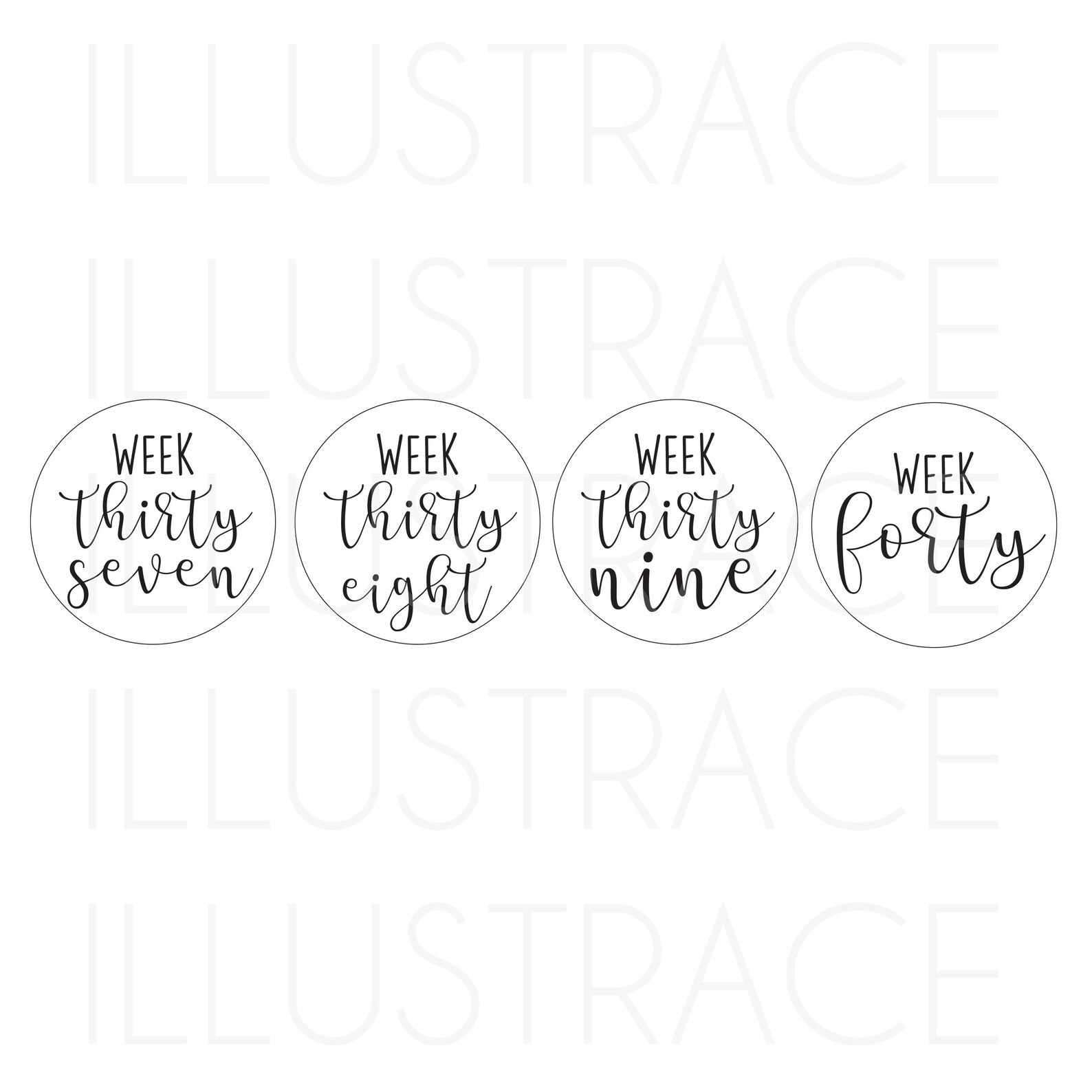 SVG File: 1-40 Weeks Pregnancy Disc Monthly Milestones Photo - Etsy