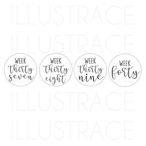 SVG File: 1-40 Weeks Pregnancy Disc, Monthly Milestones, Photo Prop ...