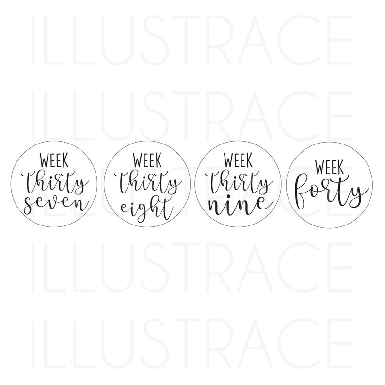 Pregnancy Milestone Discs 1-40 Weeks SVG: Photo Prop (digital Download ...