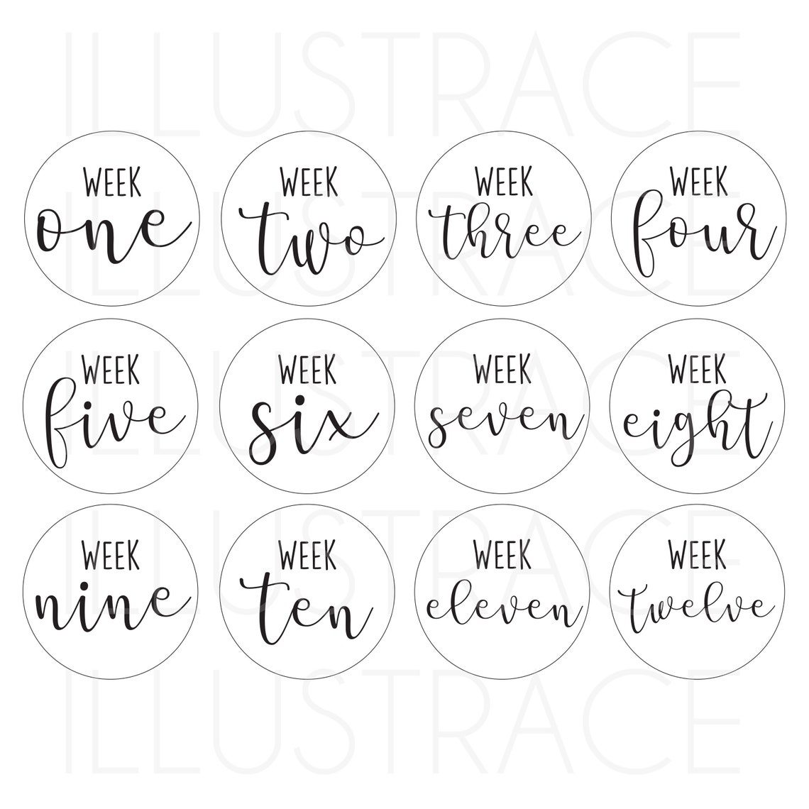 SVG File: 1-40 Weeks Pregnancy Disc Monthly Milestones Photo - Etsy